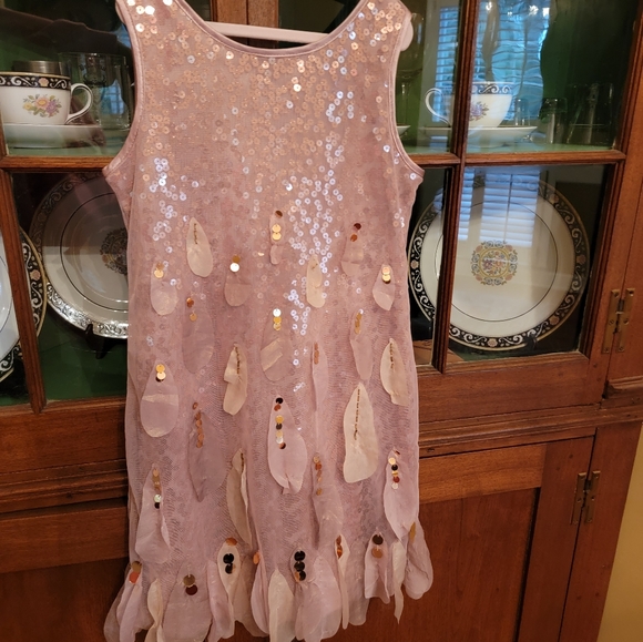Biscotti | Dresses | Youth Girl Boutique Dress By Biscotti Size 8 ...